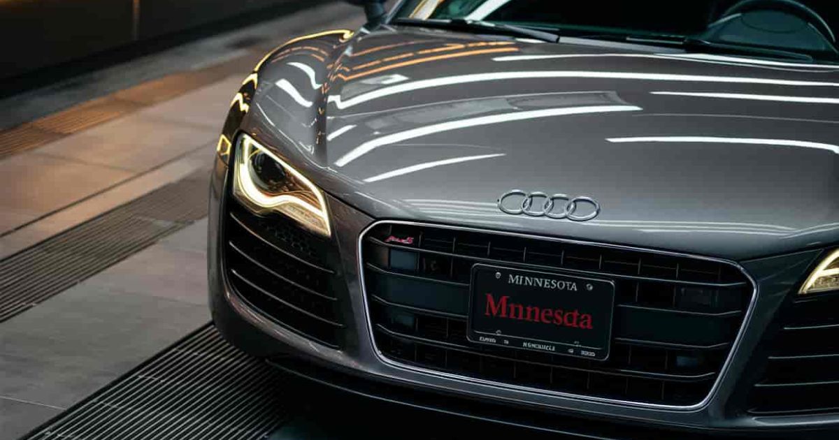 Minnesota License Plate - plateinsights