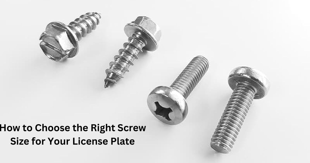 What Size Screw For License Plate?